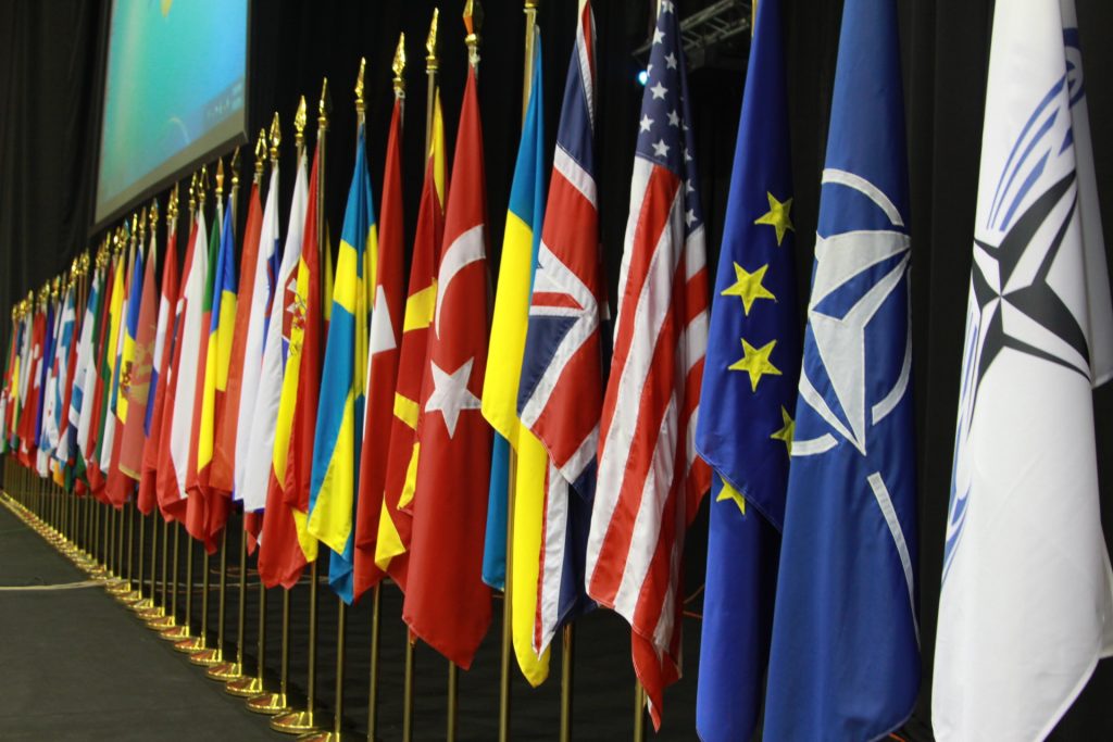 ELN Research Director Addresses NATO Parliamentary Assembly | European ...